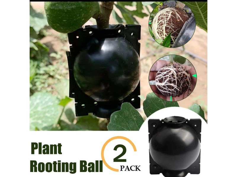Plant Root Growing Box Grafting Balls - NZ$2.53 | eMax.co.nz