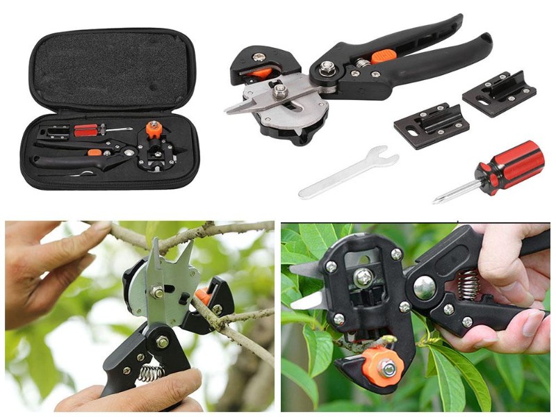 Garden Fruit Tree Pruning Grafting Cutting Scissor Set - NZ$13.24 ...