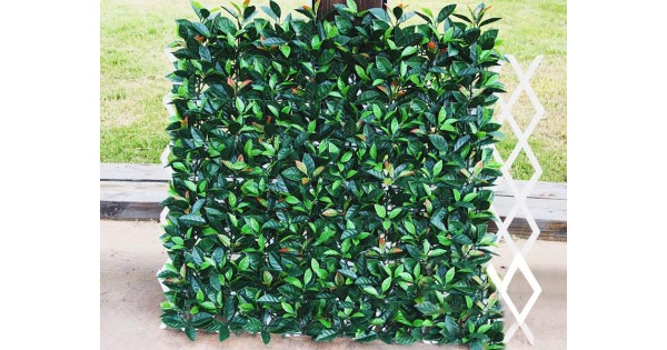 Artificial Plant Ivy Leaf Screen 1x1M - Faux Laurel Screen - NZ$53.34 ...