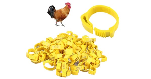 Poultry Chickens Leg Rings 100PCS - NZ$9.44 | eMax.co.nz