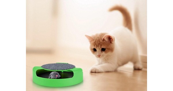 Puzzle Scratching Board, Cats Toy - NZ$8.51 | eMax.co.nz